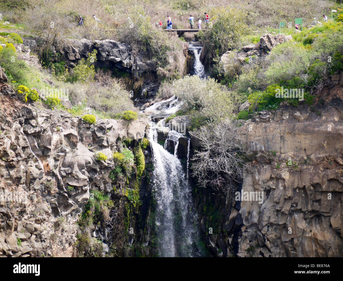 Israel, Golan Heights, Gamla waterfall Nature reserve Stock Photo - Alamy