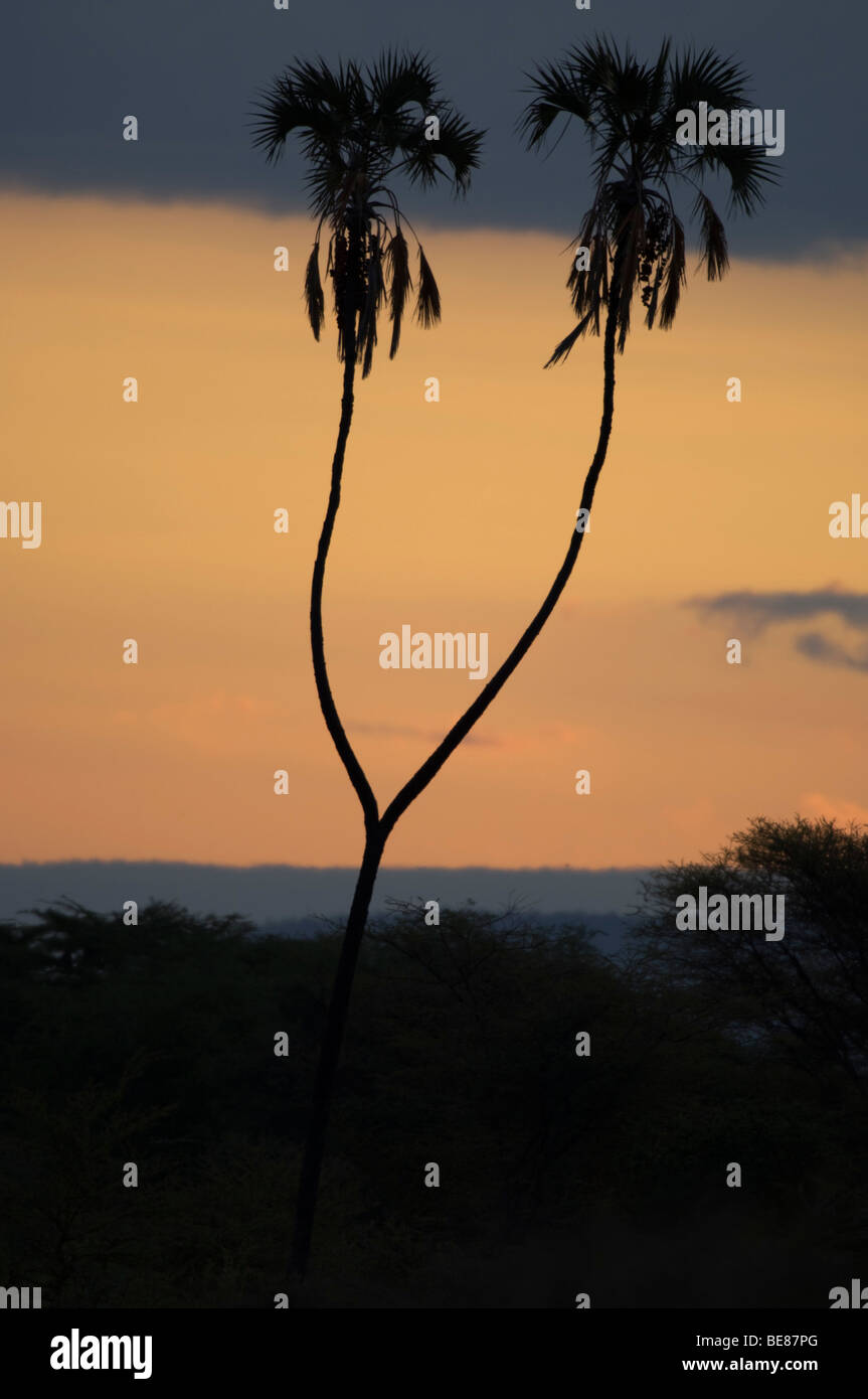 Meru National Park, Kenya Stock Photo - Alamy
