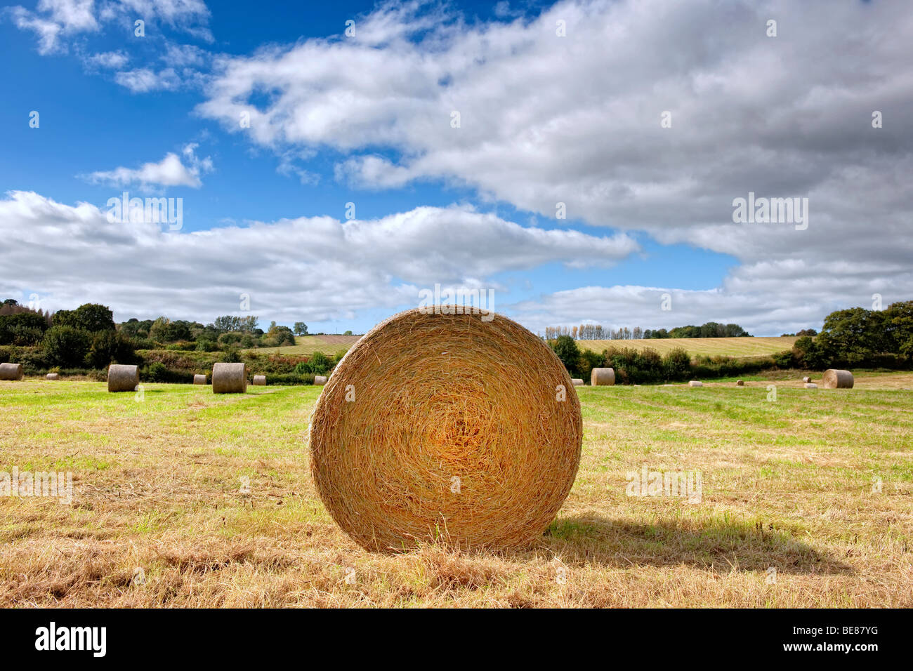 Round hay bale hi-res stock photography and images - Alamy