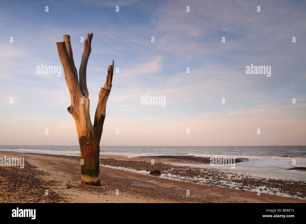 Benacre suffolk hi-res stock photography and images - Alamy