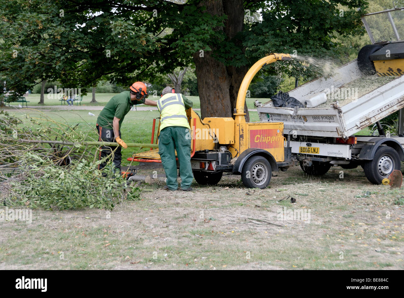 2 Two men shredding trees Stock Photo - Alamy