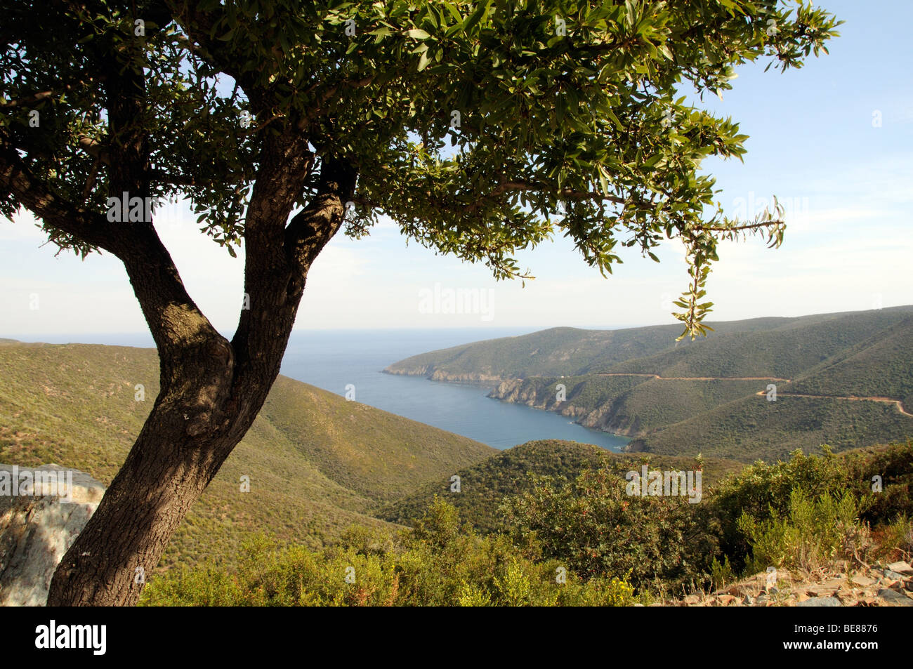 Coastal landscape from southern Sithonia northern Greece looking out on ...
