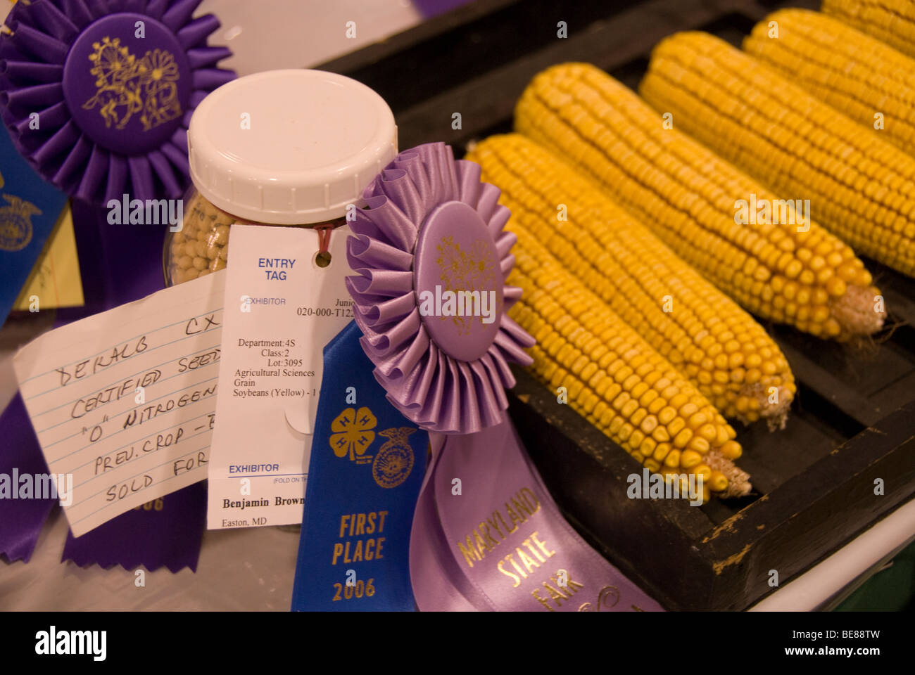 Prize ribbons High Resolution Stock Photography and Images - Alamy