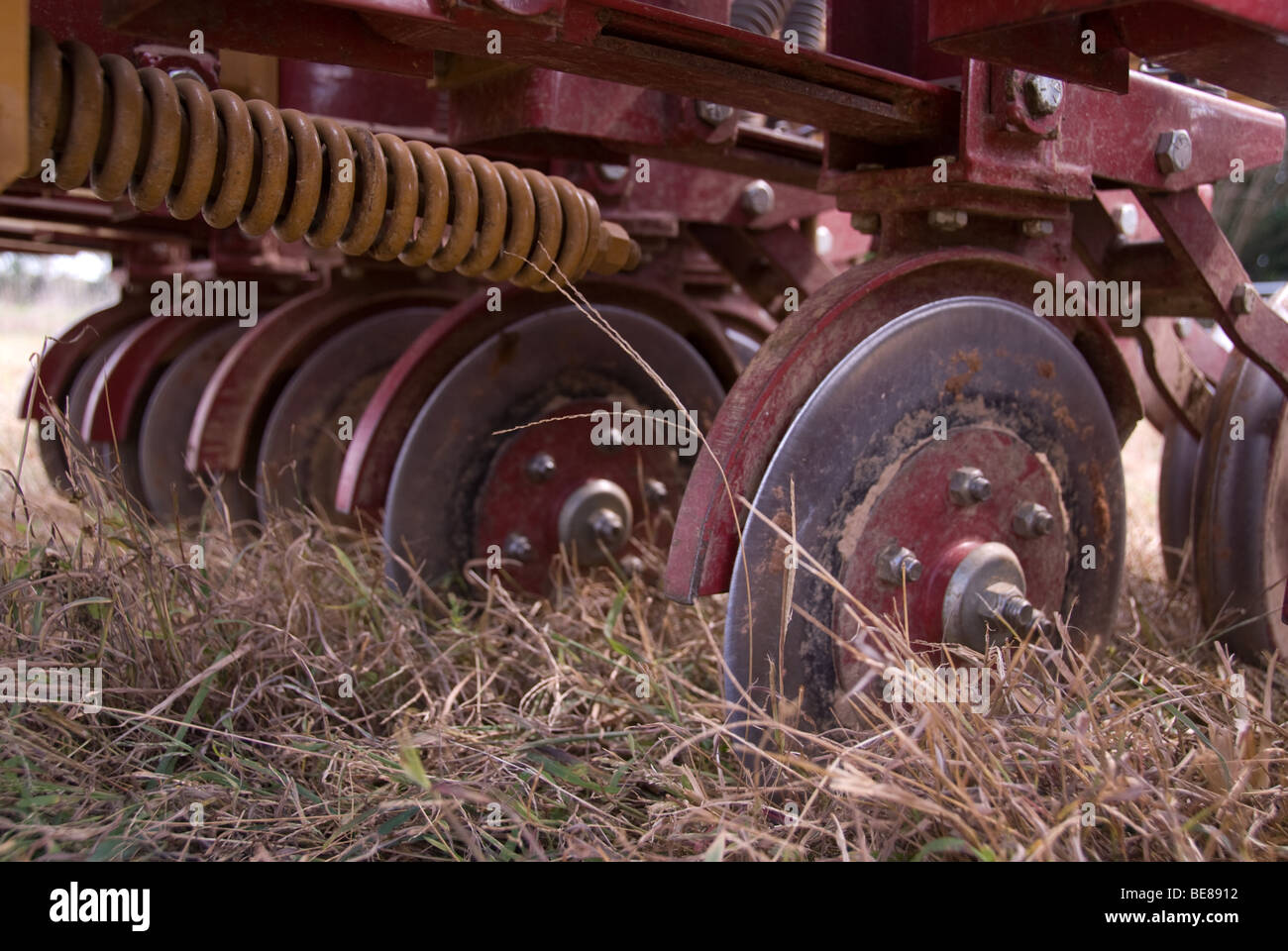 Pasture renovation - no till planting of non toxic endophyte tall ...