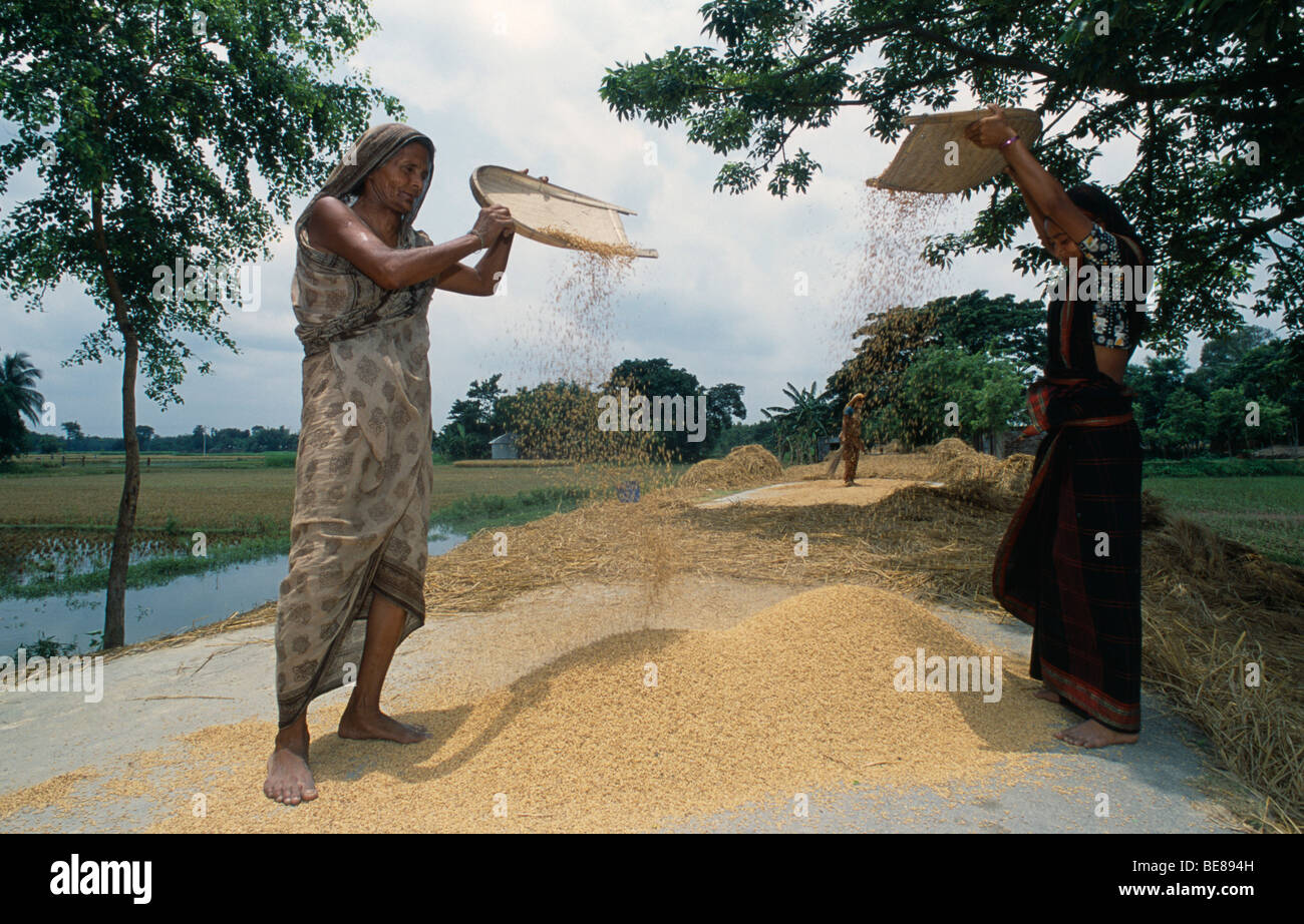 Young women farming hi-res stock photography and images - Alamy