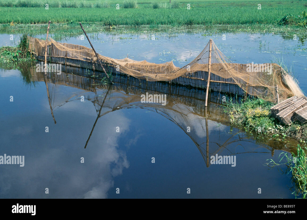 BANGLADESH Fish Farm Stock Photo - Alamy