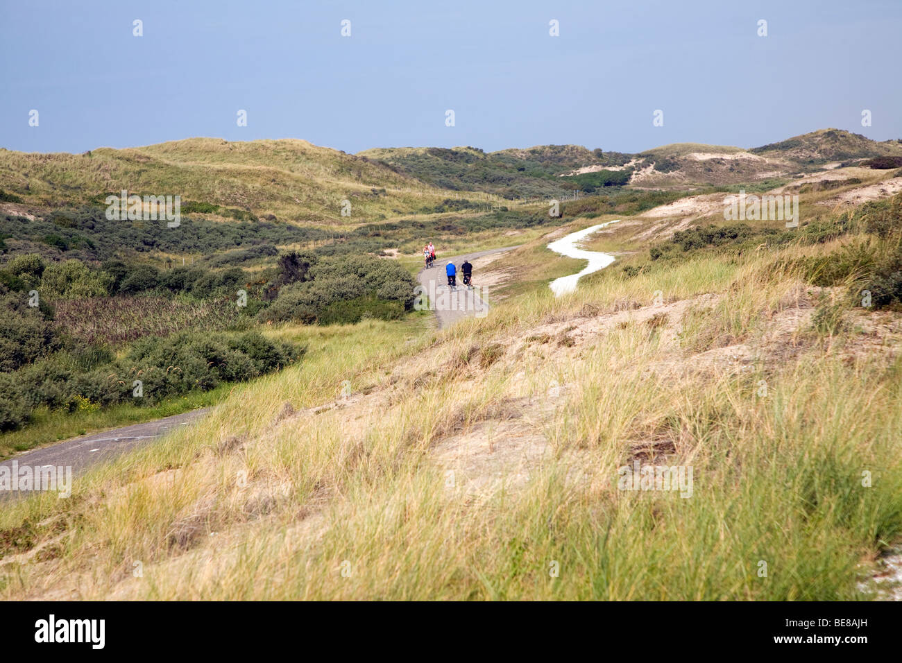 The Dunes between Scheveningen and Katwijk Holland Stock Photo - Alamy