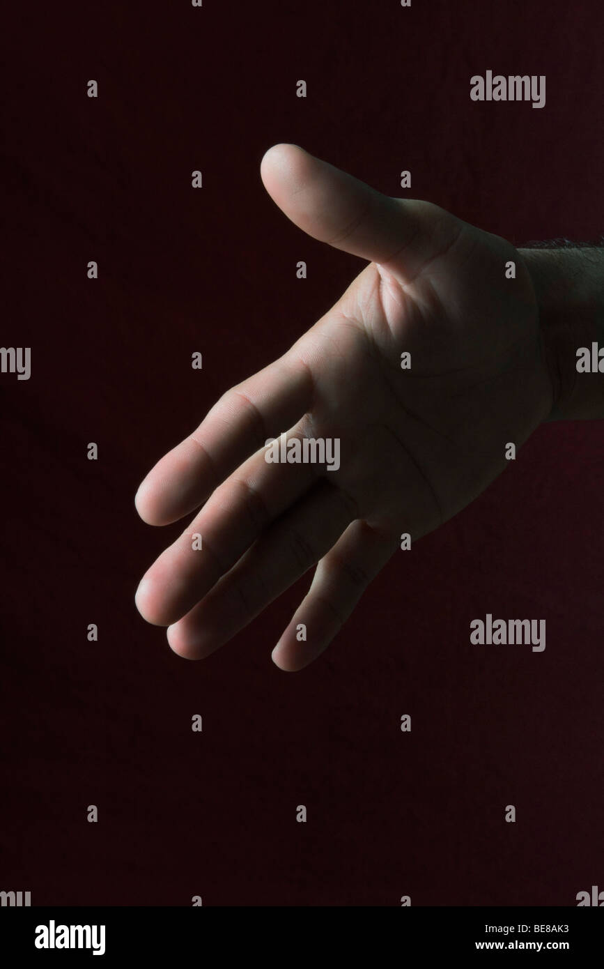 Anatomy of the hand hi-res stock photography and images - Alamy