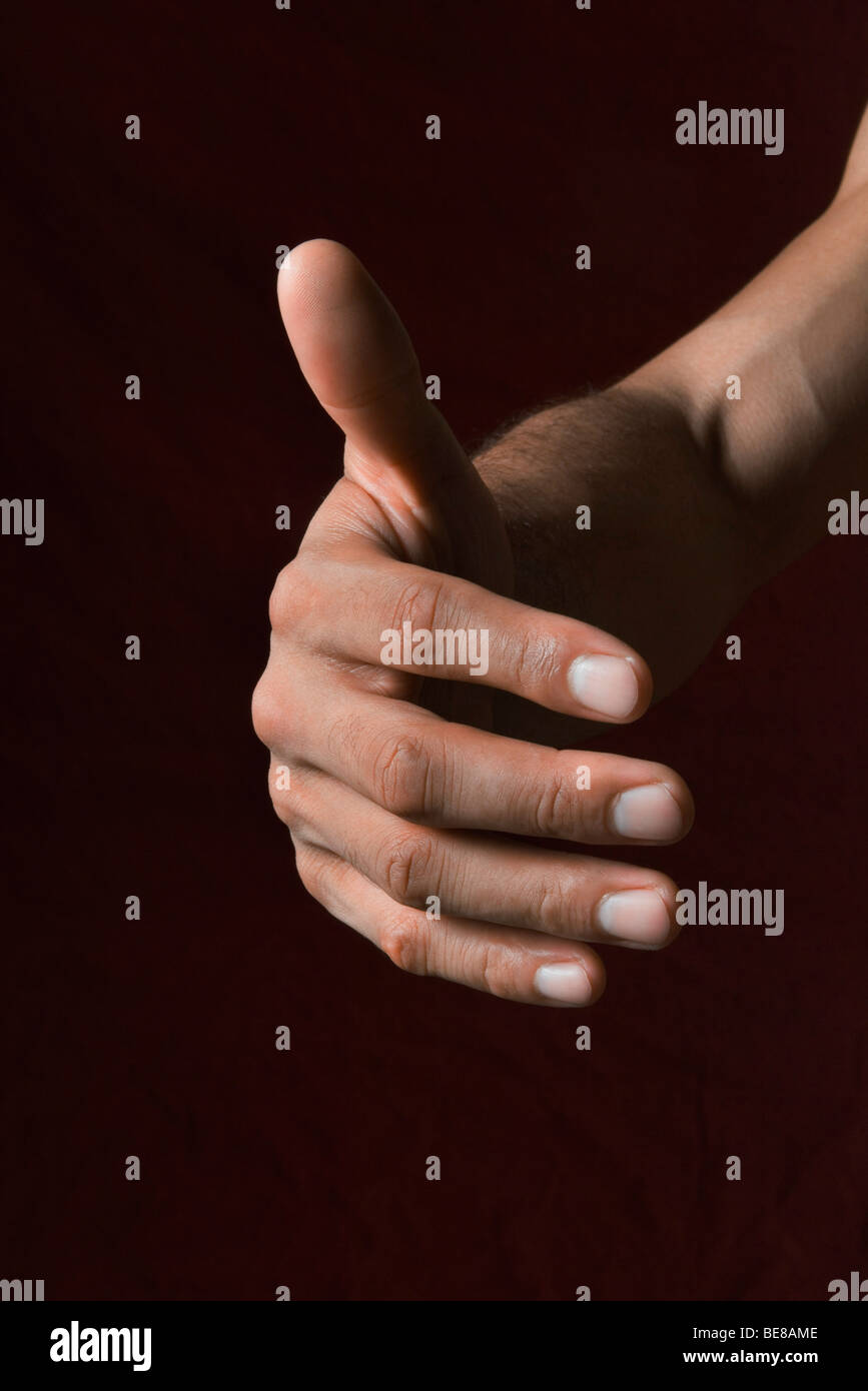 Anatomy of hand hi-res stock photography and images - Alamy