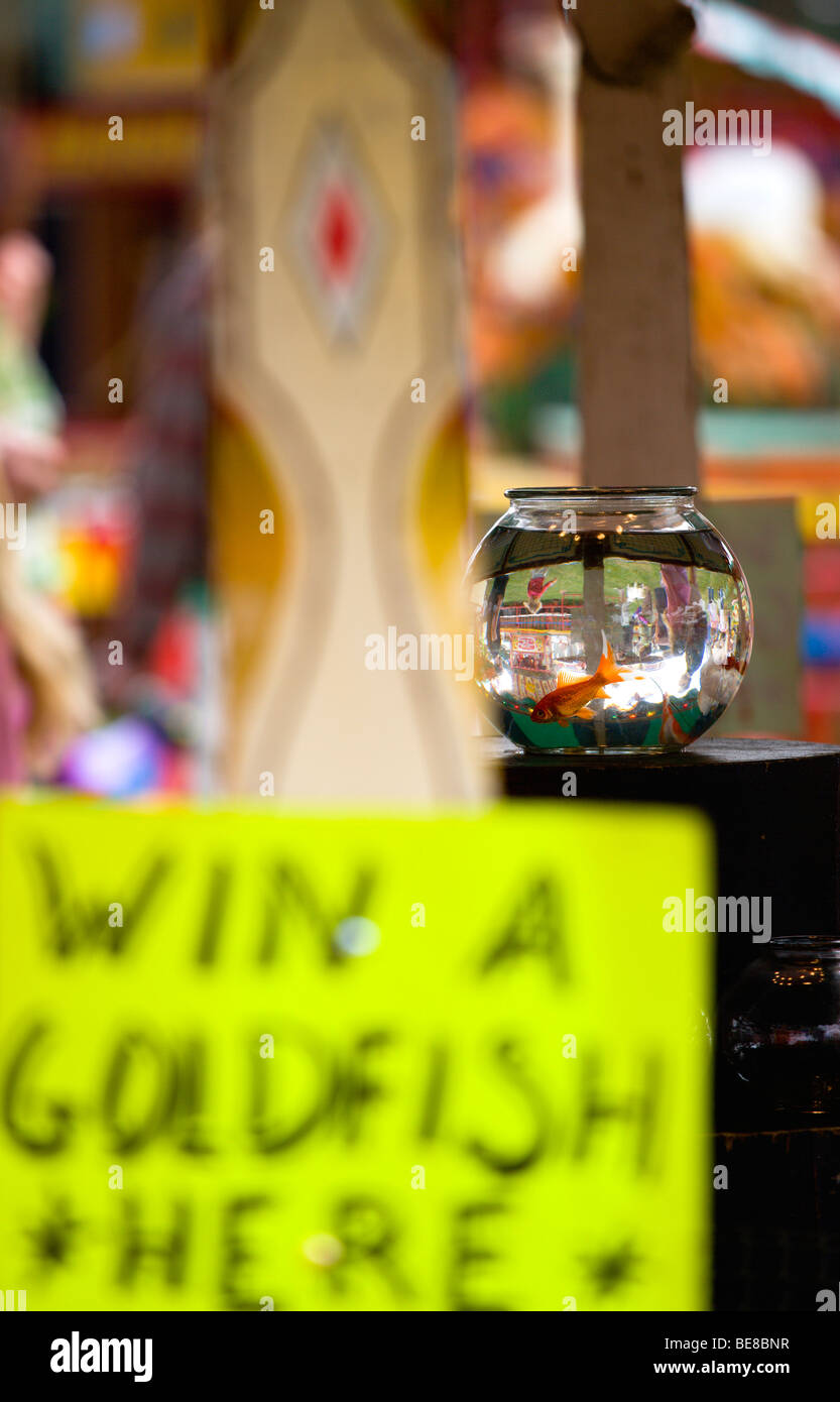 England West Sussex Findon Village Sheep Fair Goldfish in glass bowl ...