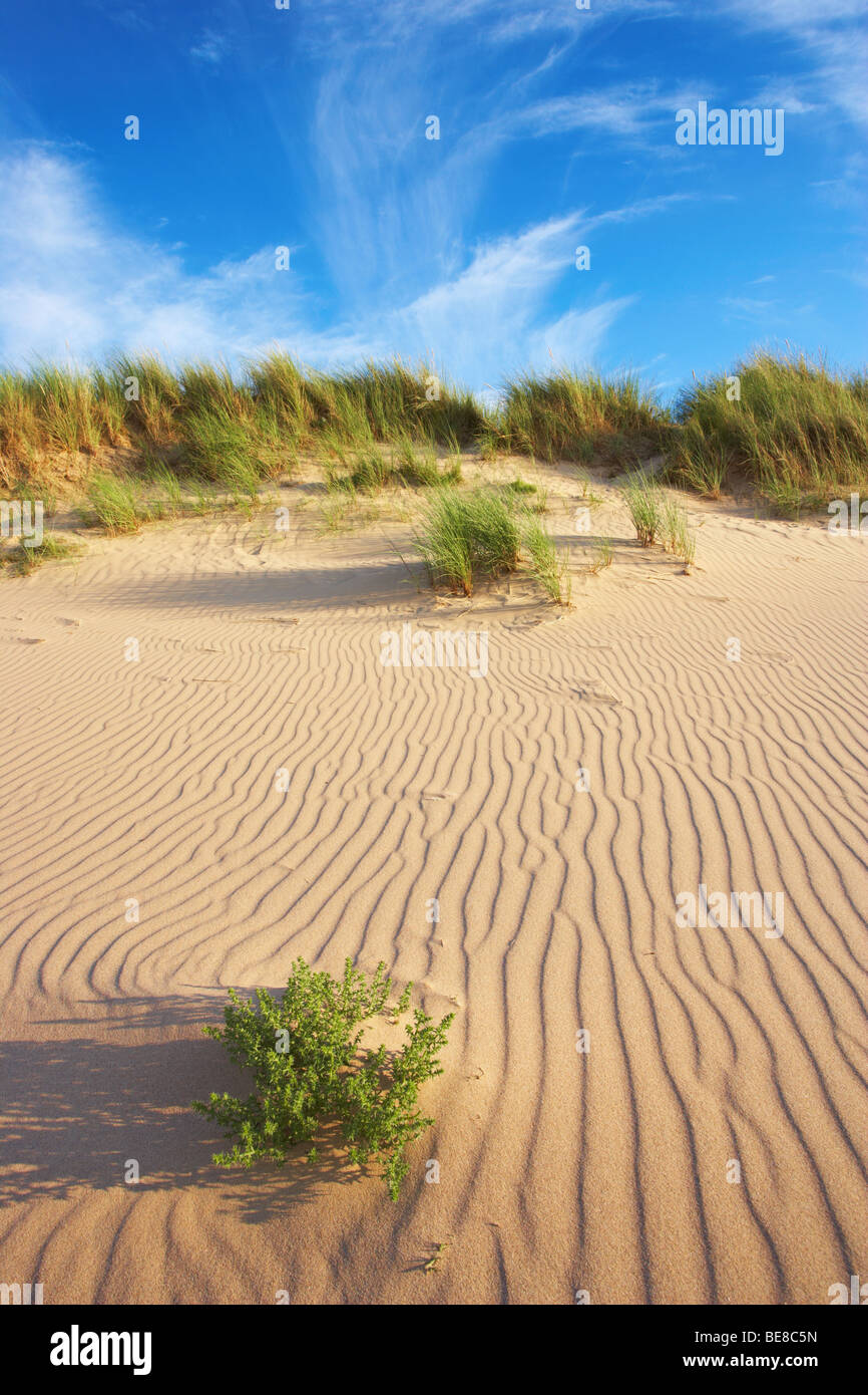 Holkham bay, norfolk hi-res stock photography and images - Alamy