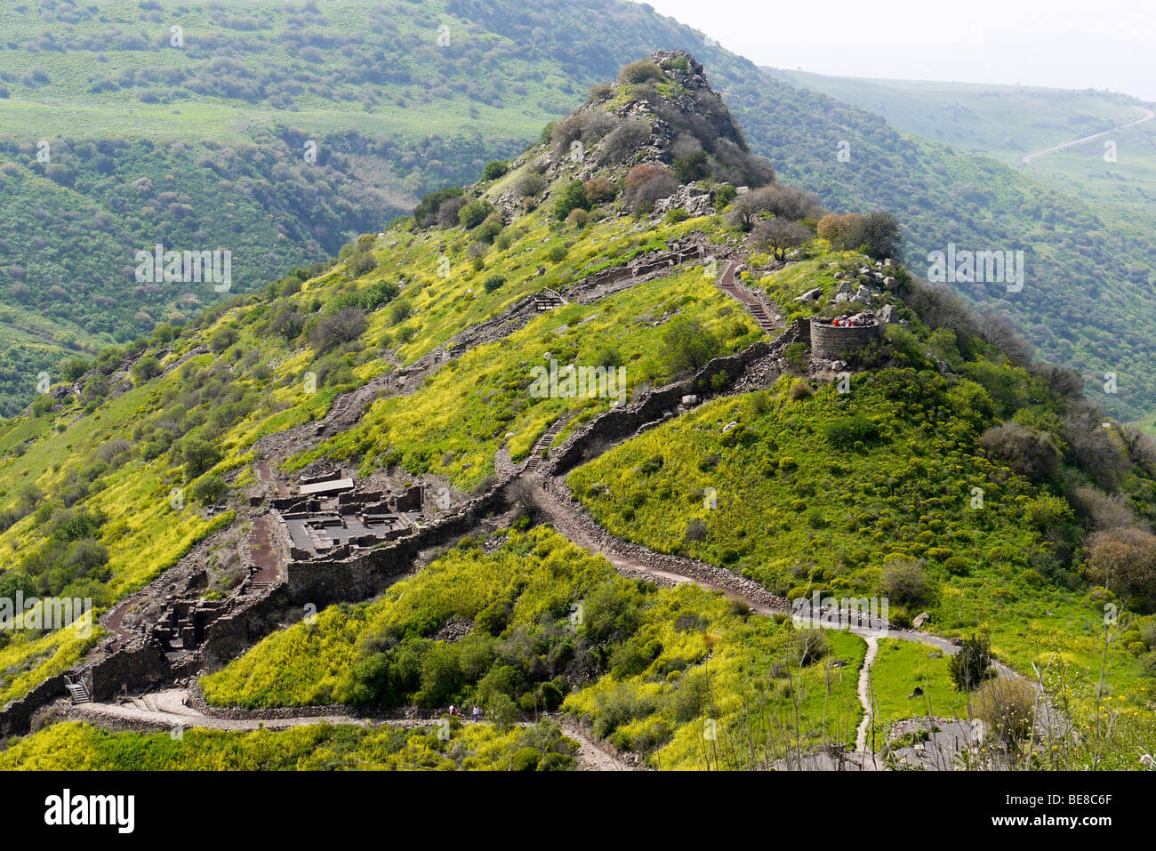 Gamala israel hi-res stock photography and images - Alamy