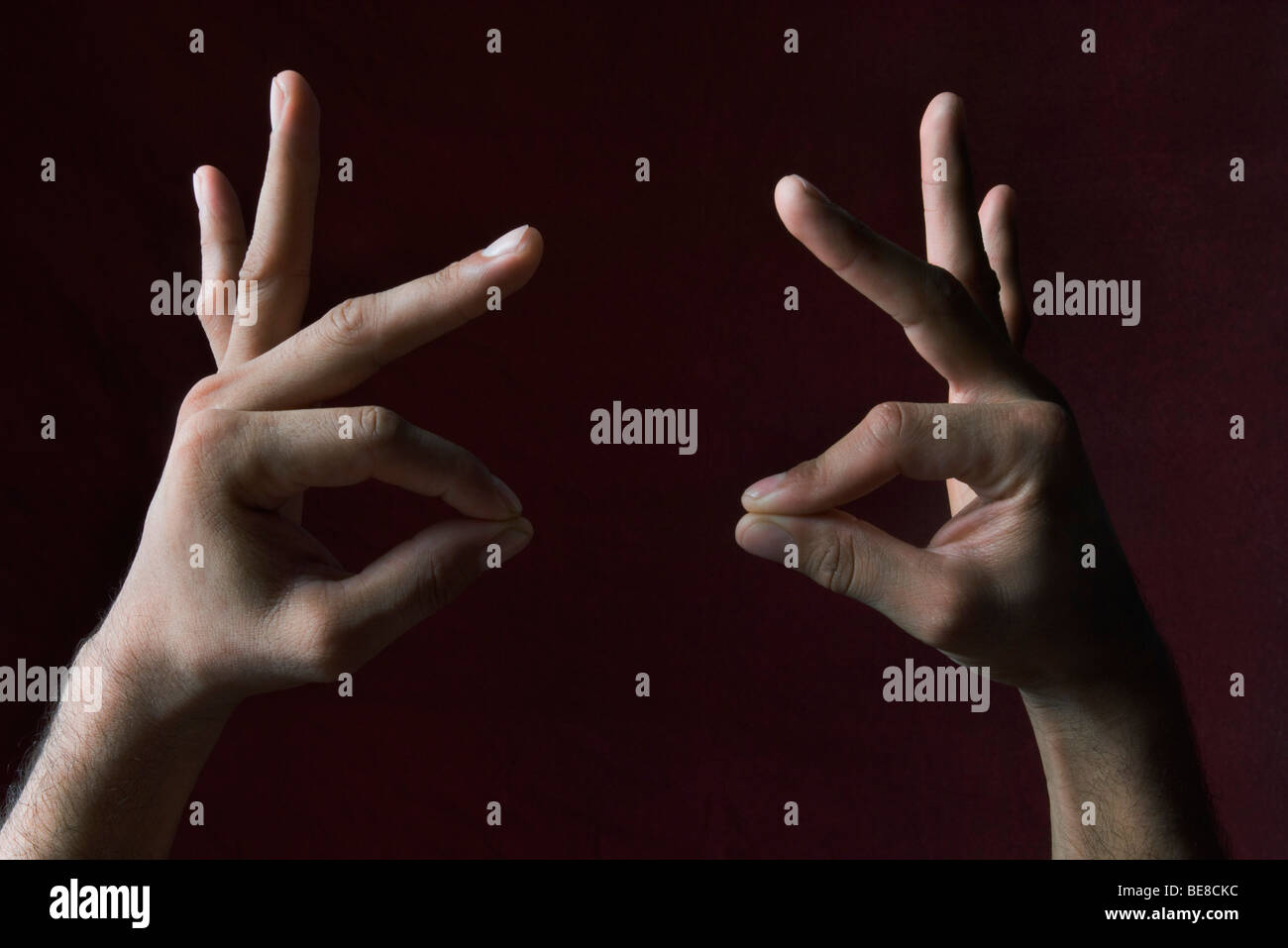 Hand shadow puppet chicken hi-res stock photography and images - Alamy