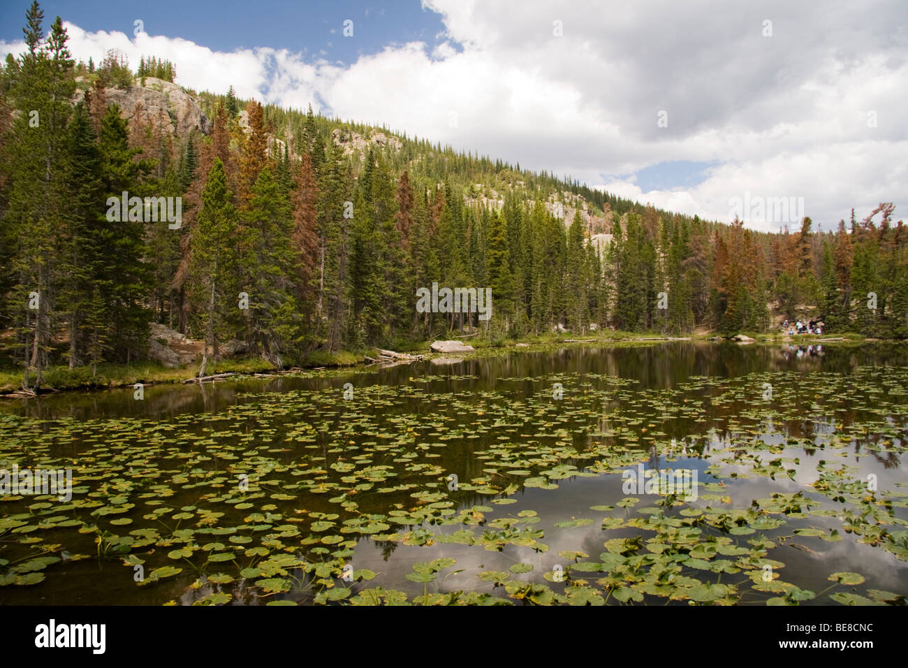 Nymph Lake, Rocky Mountain National Park, Colorado, USA Stock Photo - Alamy