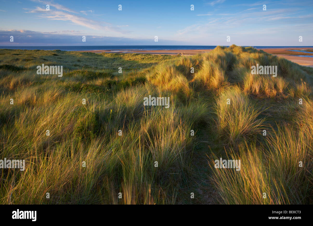 Late evening light on the dunes at Scolt Head island on the North ...