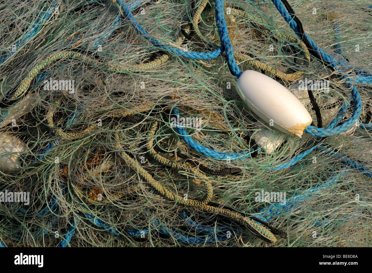 Left tackle hi-res stock photography and images - Alamy