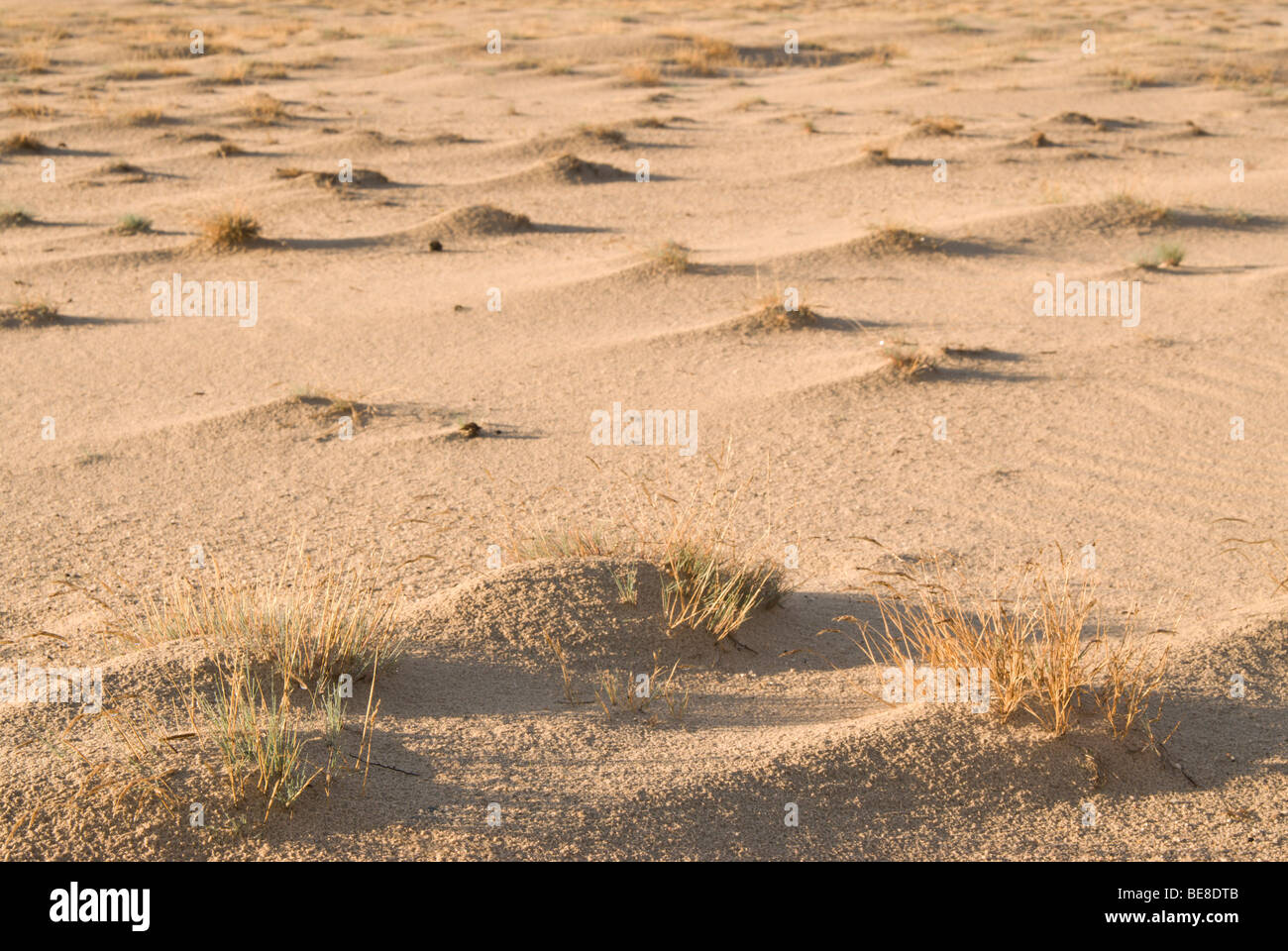 Strijklicht hi-res stock photography and images - Alamy