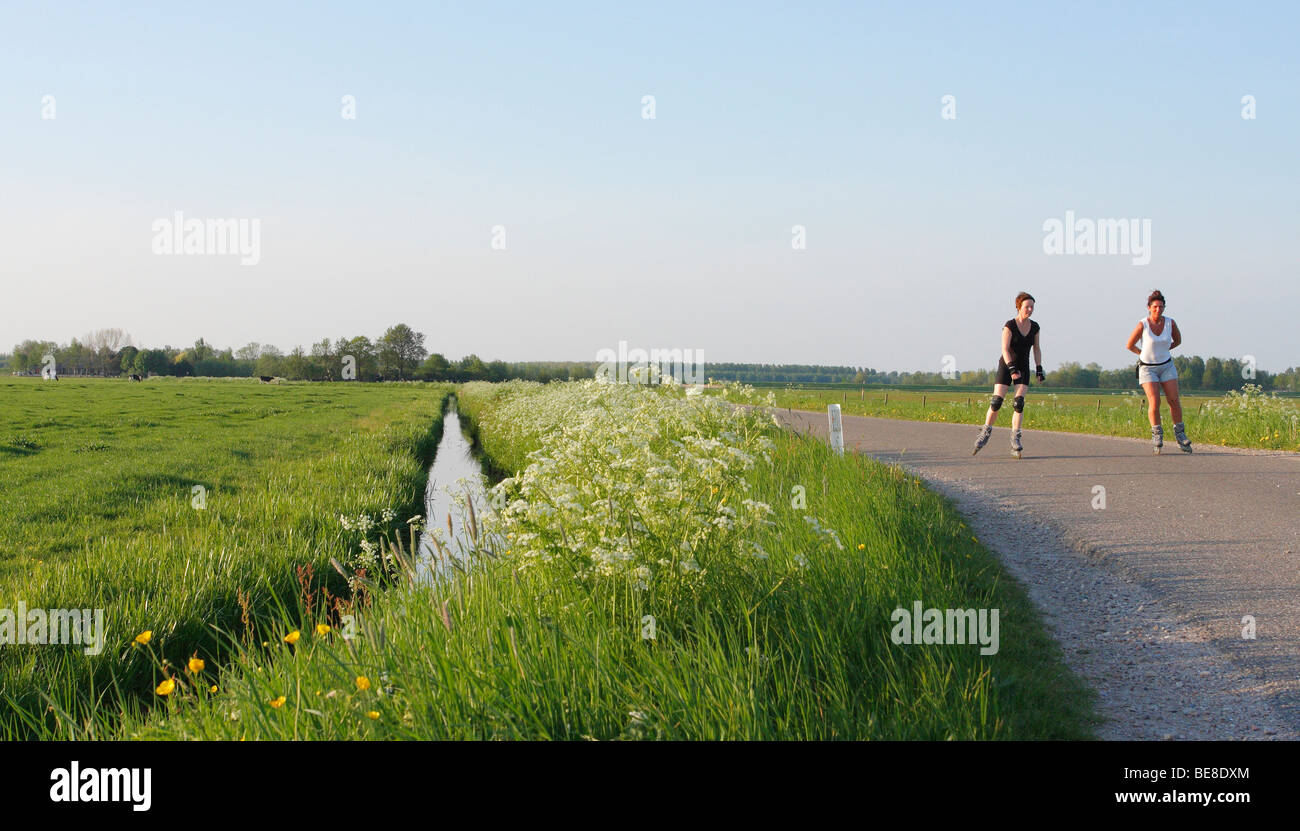 Skaters in het groen Stock Photo - Alamy