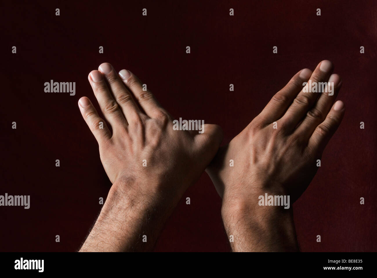 Hands making bird shape Stock Photo - Alamy
