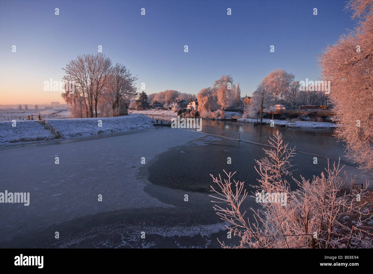 The Bossche Broek before sunrise covered with ripe and snow ...