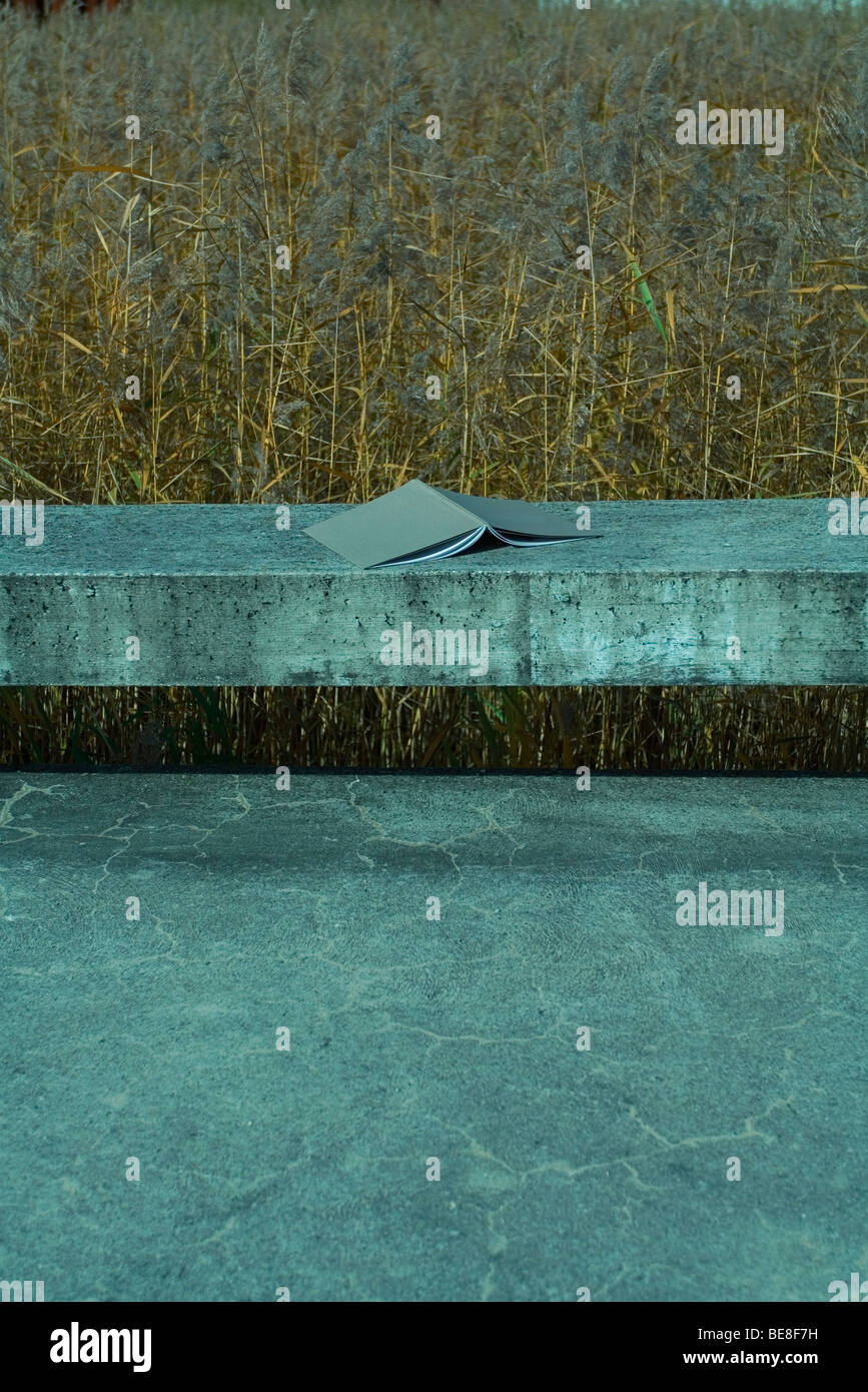 Open book placed face down on concrete ledge, grassy field in ...