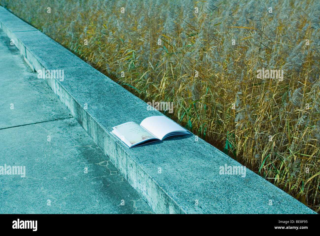 Open book on concrete ledge, grassy field in background Stock Photo - Alamy