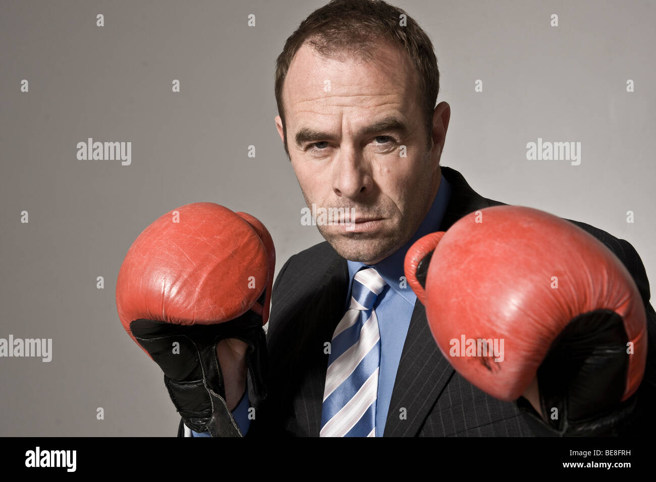 Portrait of a man wearing a suit, with boxing gloves Stock Photo - Alamy