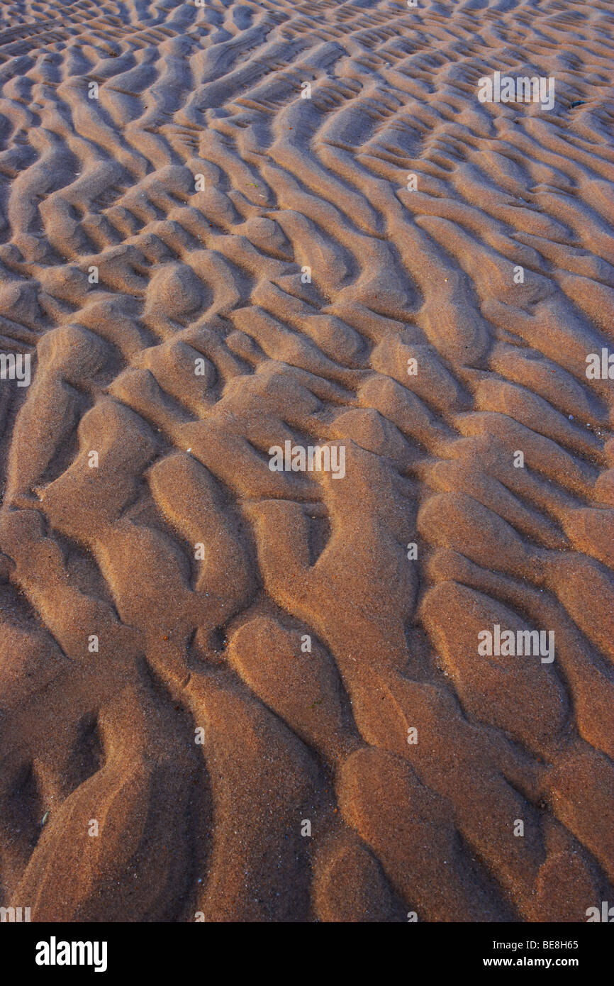 Sand Patterns on the beach at Scolt Head Island in North Norfolk Stock ...