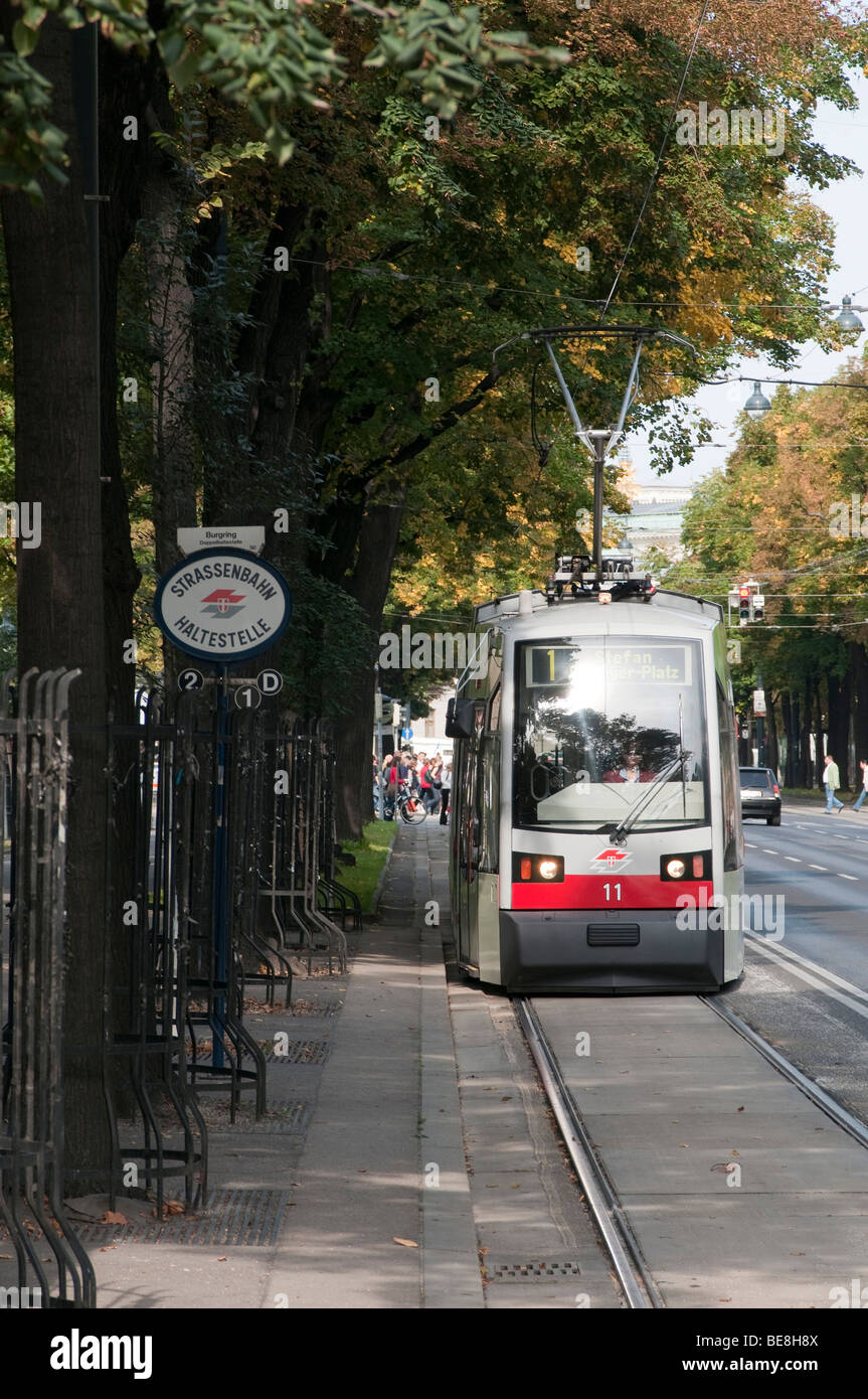 Tram in vienna hi-res stock photography and images - Alamy