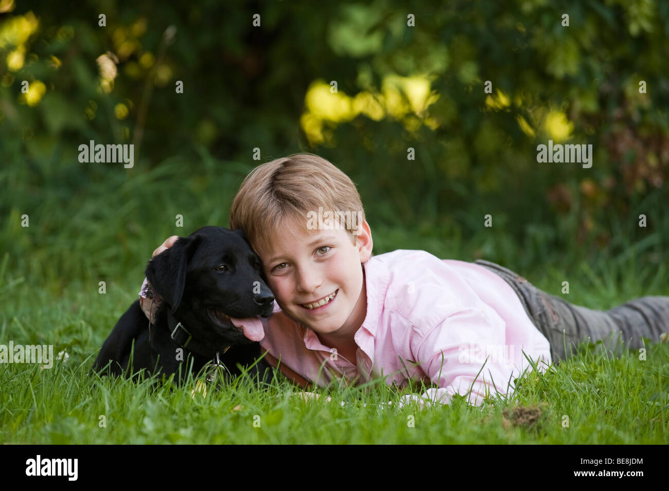 Boy, 10, with a labrador puppy Stock Photo - Alamy