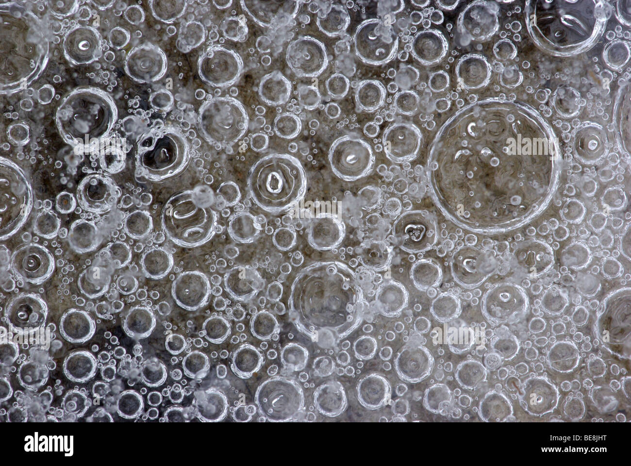 Bubbles arise through a rot proces and are being caught by the ice ...