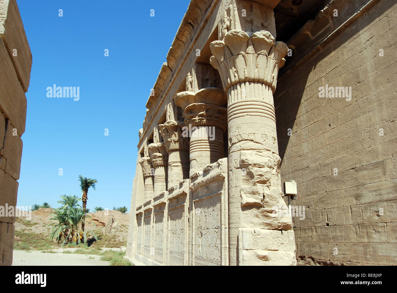 Dandara hi-res stock photography and images - Alamy