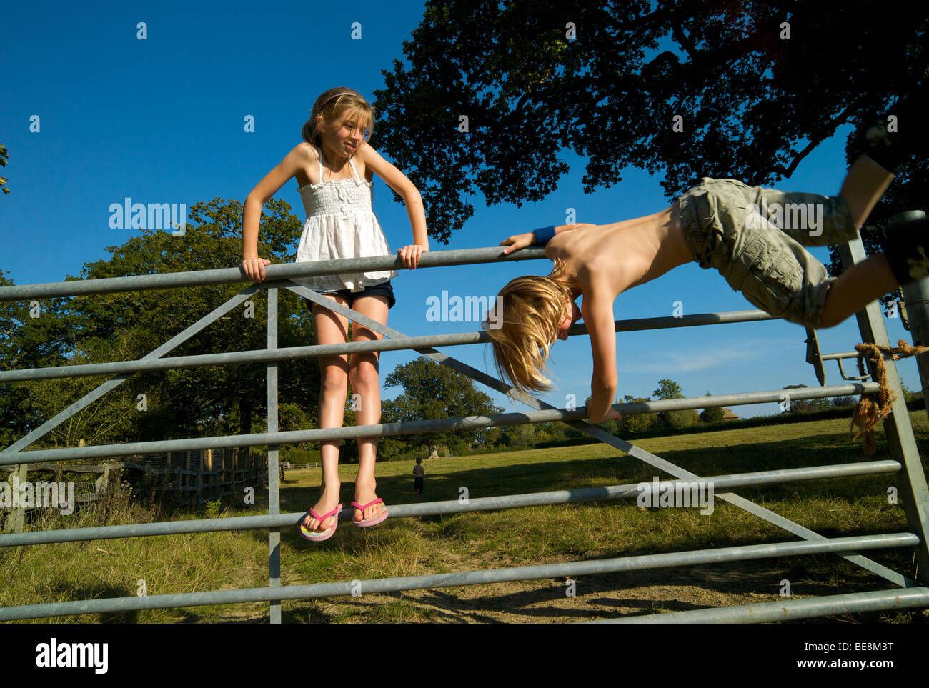 Young children playing on a farm gate Stock Photo - Alamy