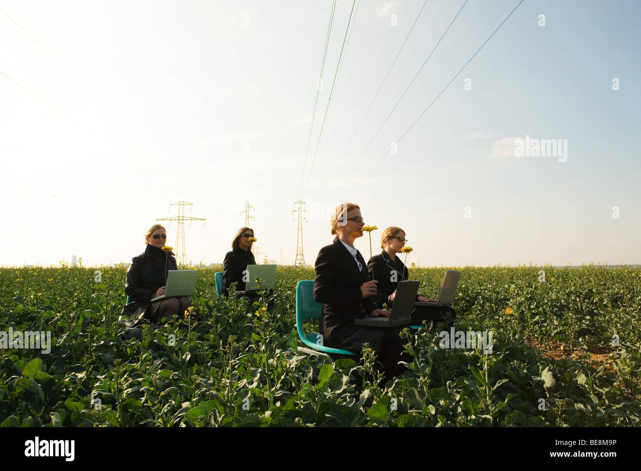 Four businesswomen sitting in field, all using laptop computers and ...