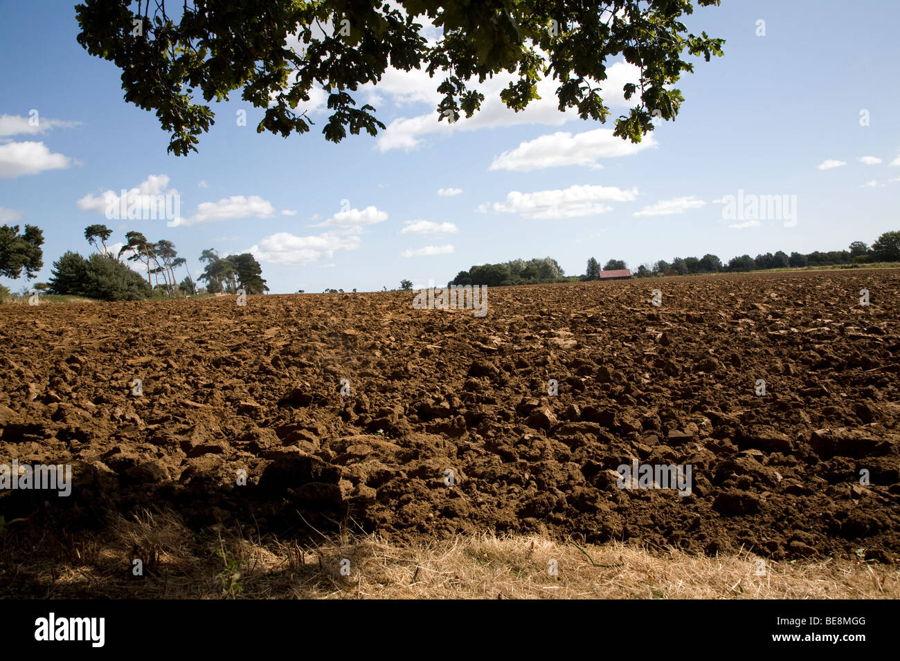 Ploughed field framed by tree branches hi-res stock photography and ...