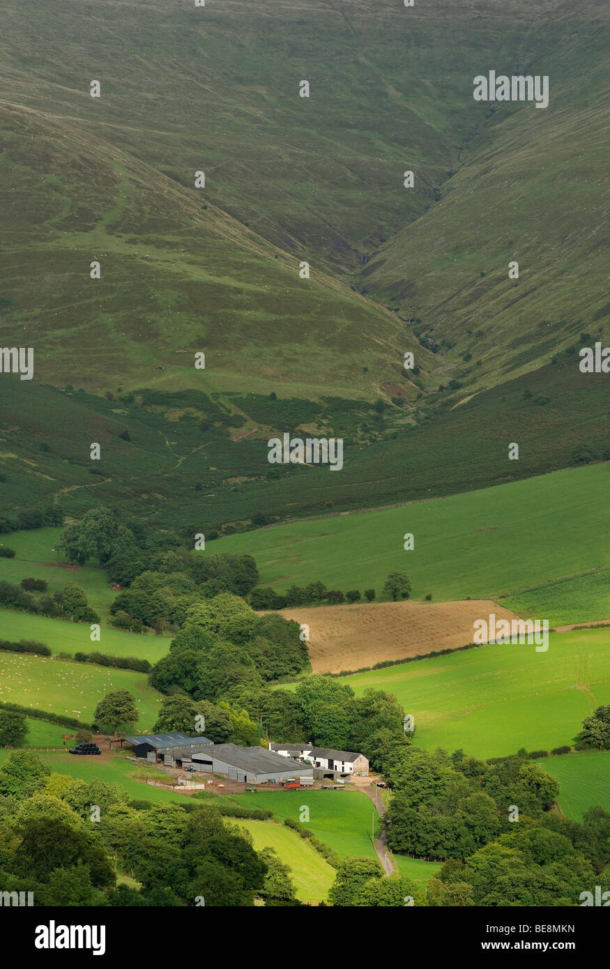 Traditional welsh farm building hi-res stock photography and images - Alamy