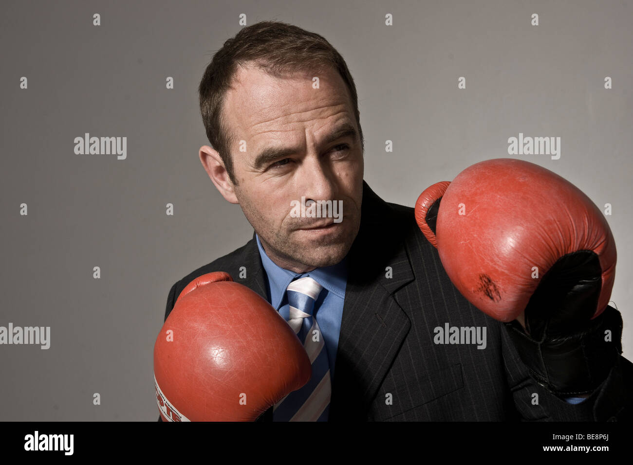 Portrait of a man wearing a suit, with boxing gloves Stock Photo - Alamy
