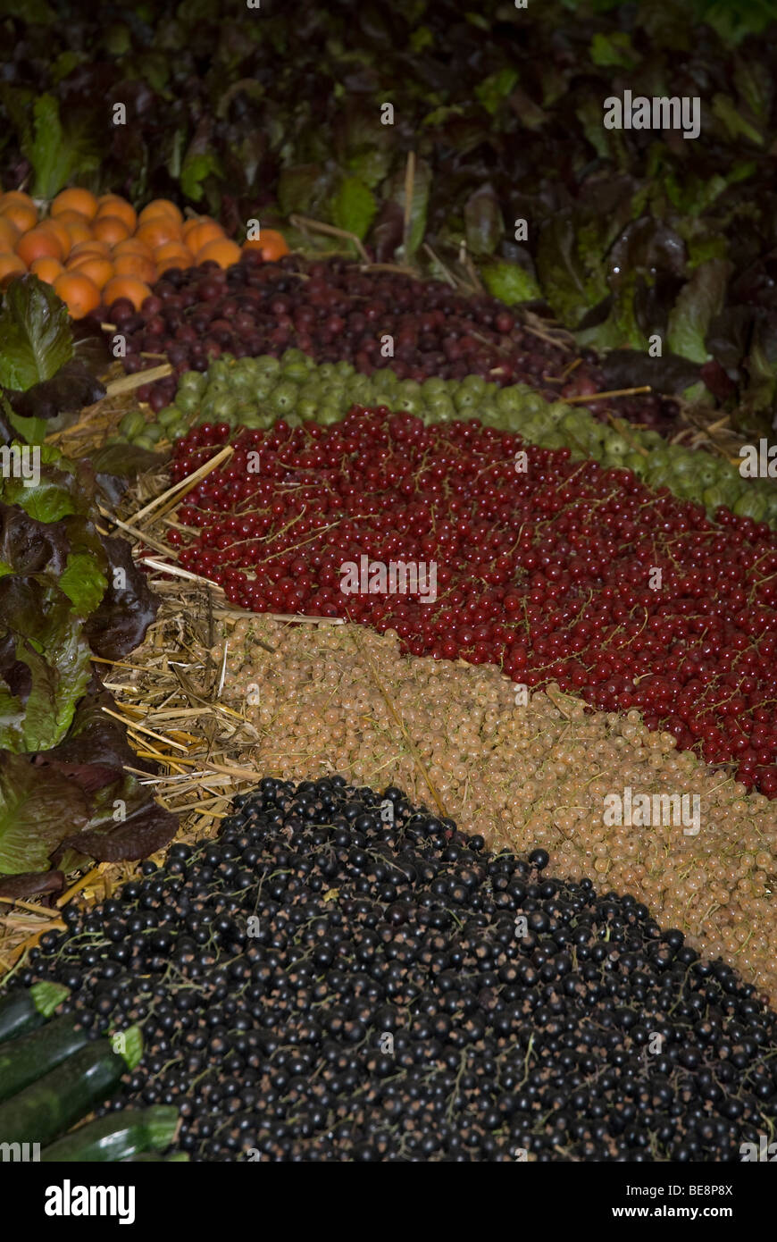 Display of harvested berries Stock Photo - Alamy