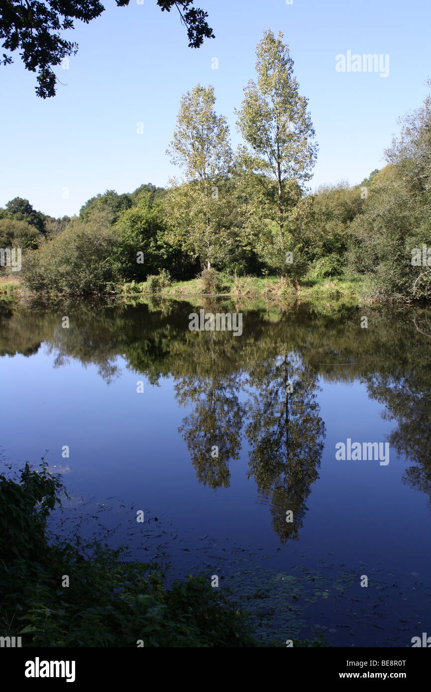 Reflection of trees in river Stock Photo - Alamy
