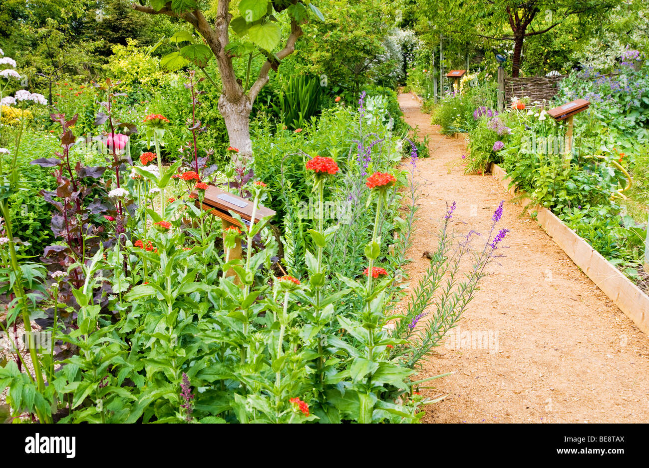 The main path through the TWIGS gardens in Swindon, Wiltshire, England ...