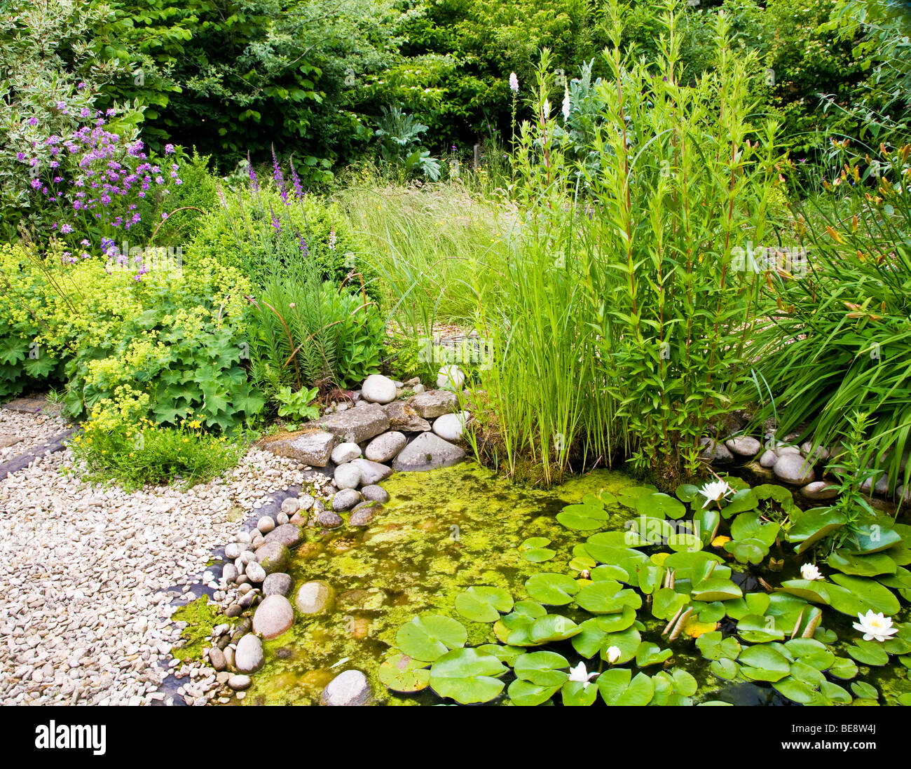 Wildlife friendly garden at the twigs hi-res stock photography and ...