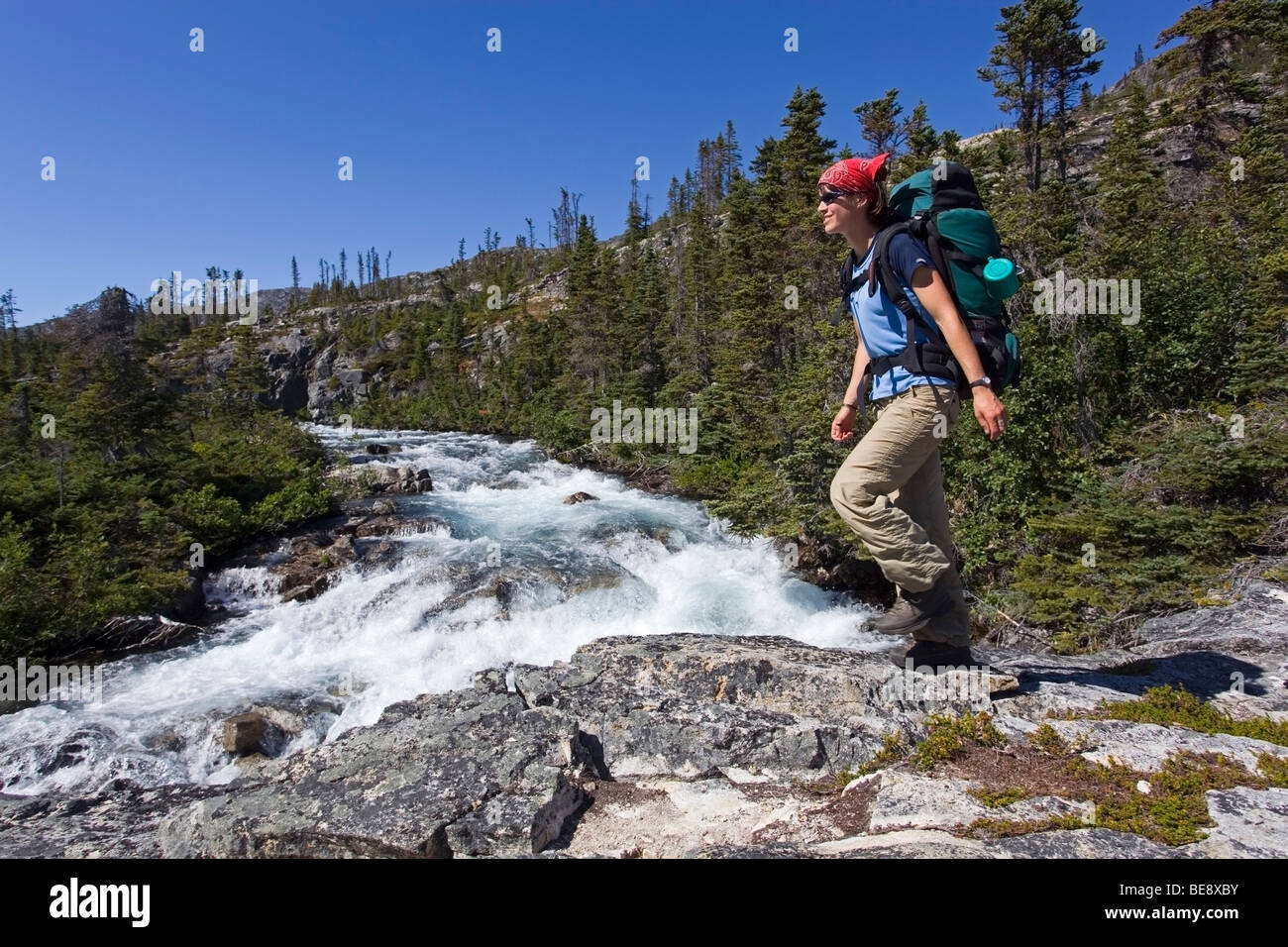 Walking pass single tree hi-res stock photography and images - Alamy