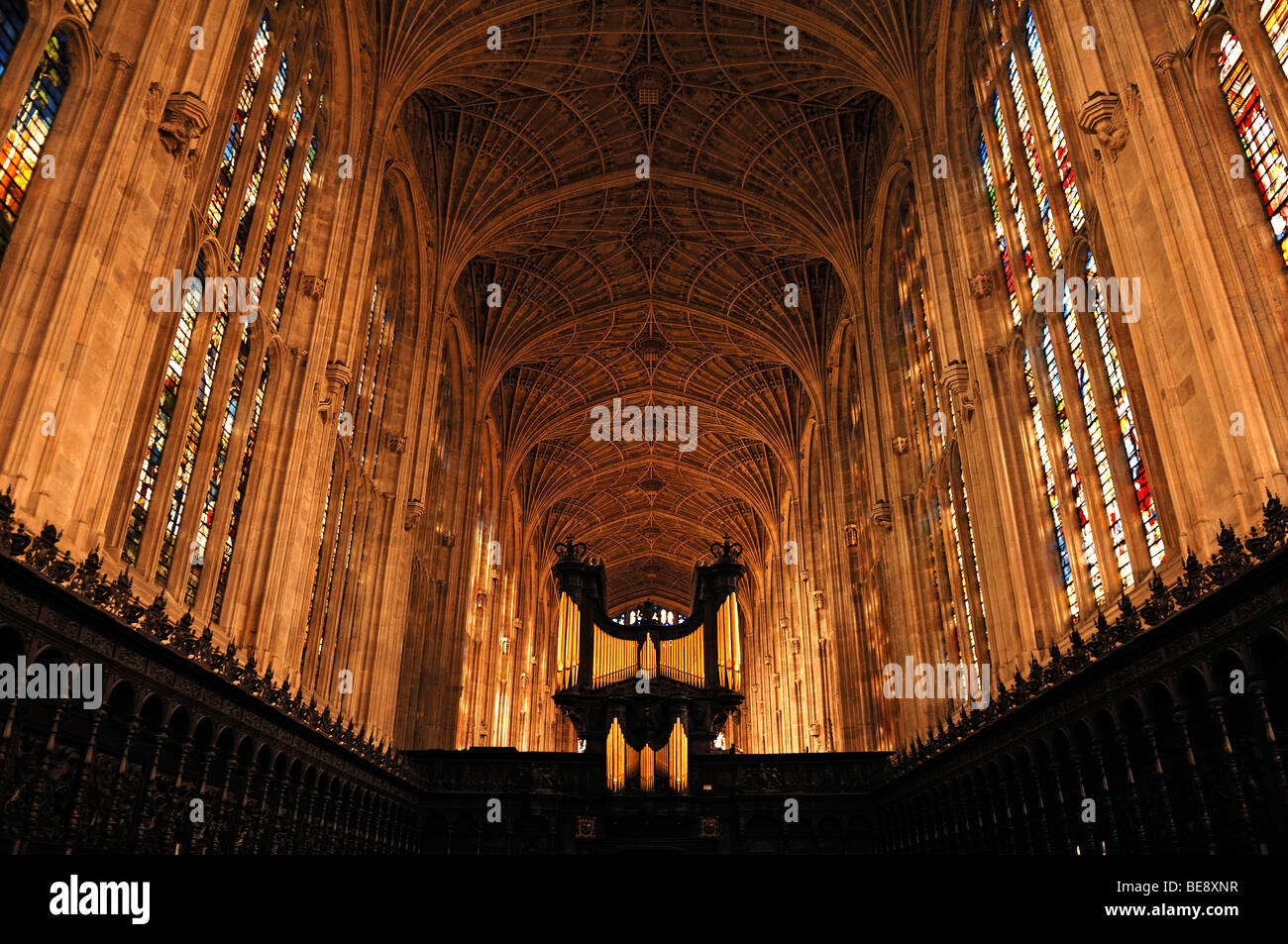 Gothic fan vault with organ and choir of the "King's College Chapel ...