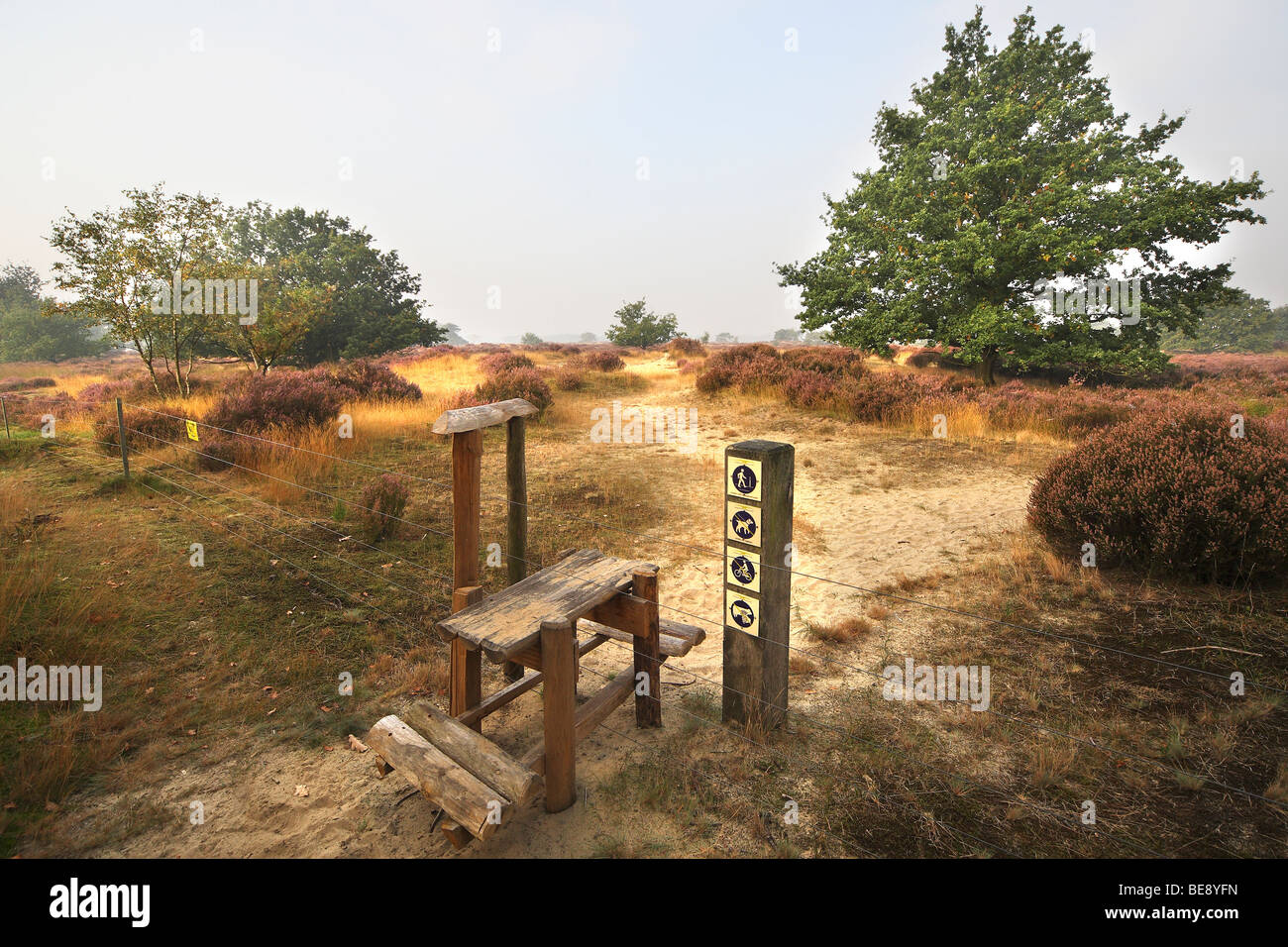 Fence and footpath in Kalmthoutse Heide nature reserve, Kalmthout ...