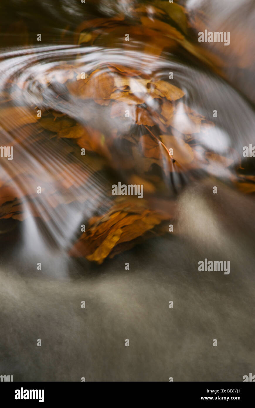 Stroomversnelling hi-res stock photography and images - Alamy