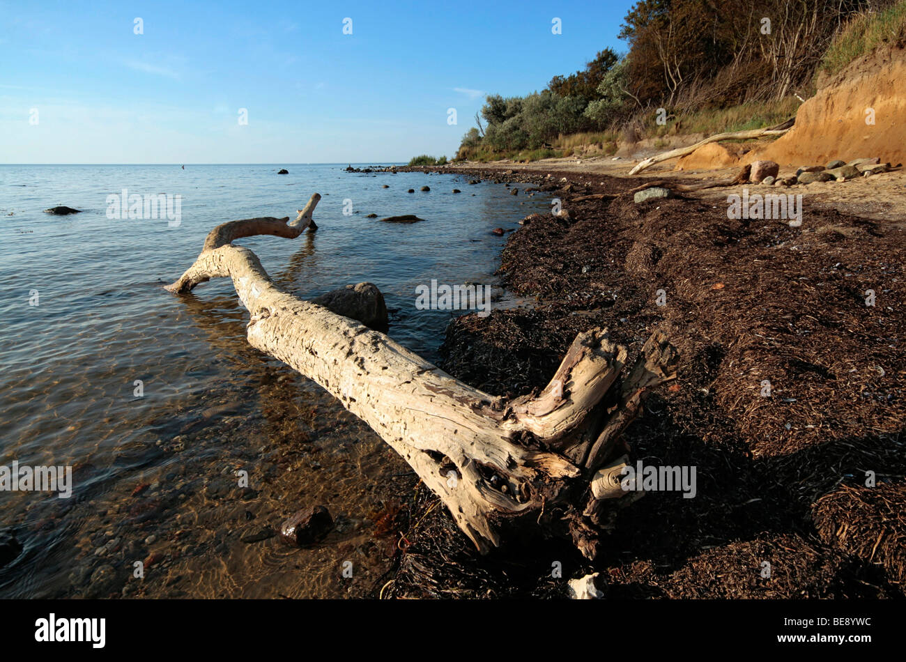 Dead bodies and beach hi-res stock photography and images - Alamy