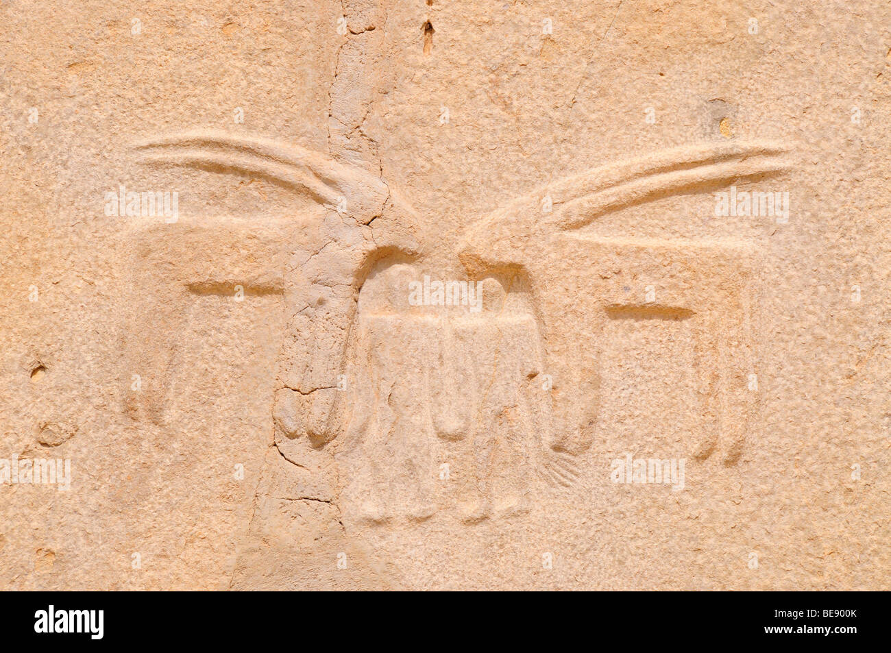 Arabische gravur hi-res stock photography and images - Alamy