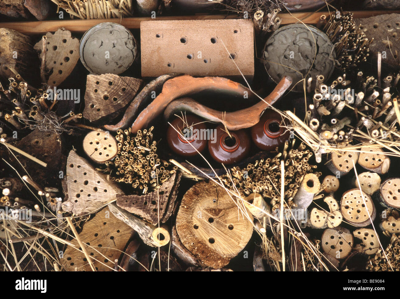 Nesting place for solitary bees Stock Photo - Alamy