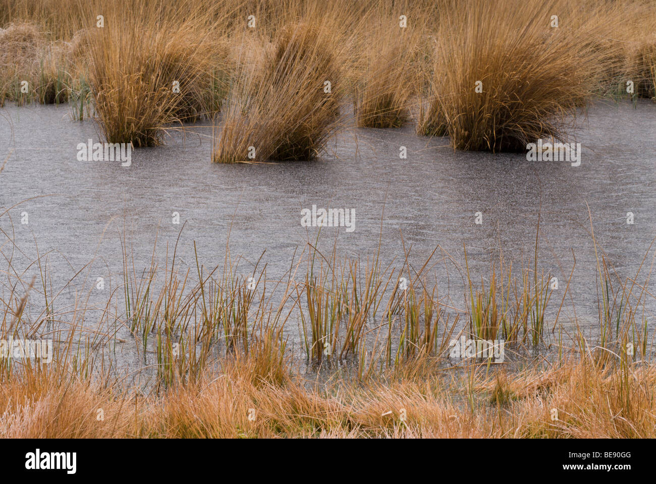 Bevroren Water High Resolution Stock Photography and Images - Alamy