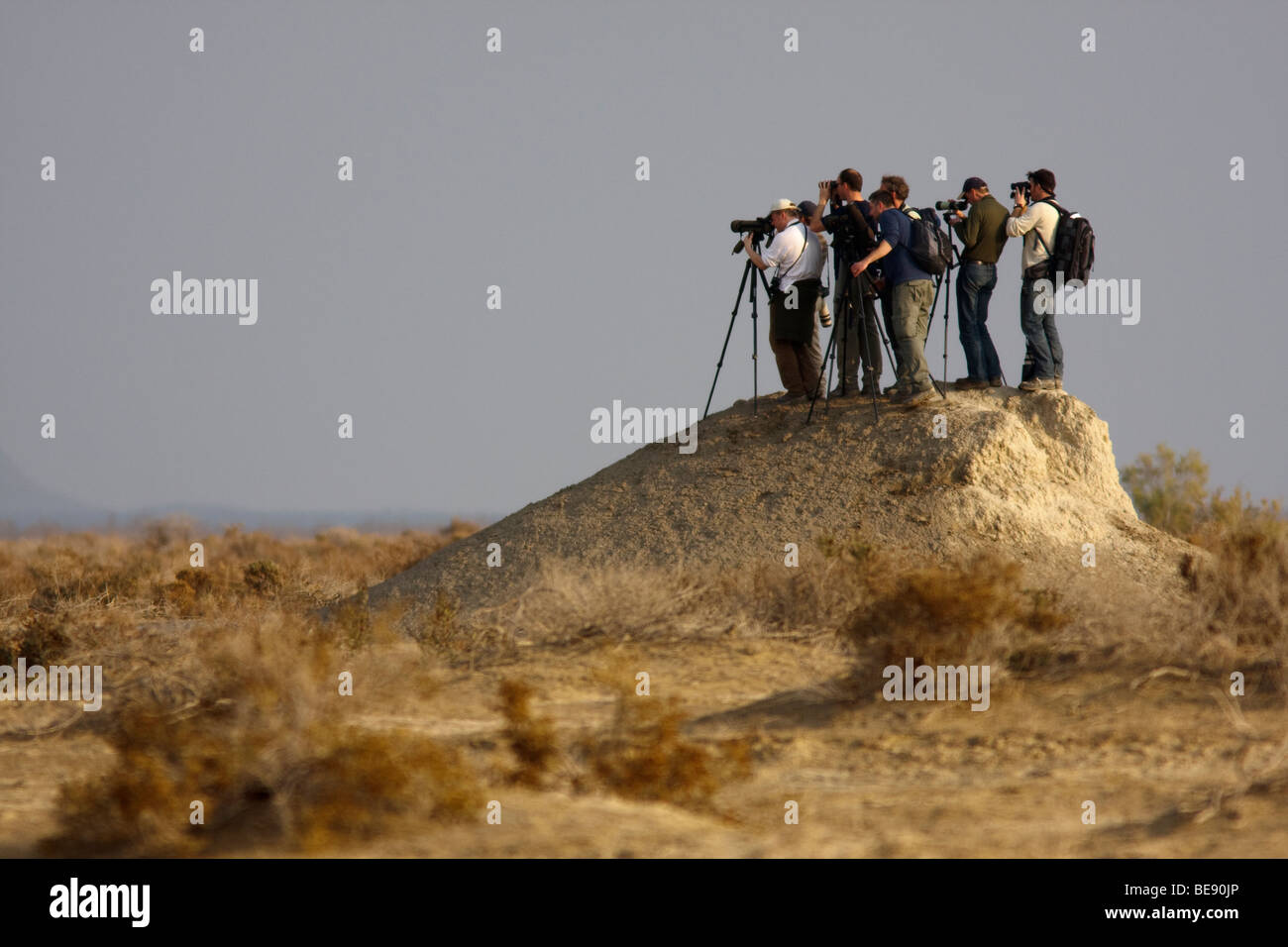 Groups of birders using a small hill to scan the surroundings for birds ...